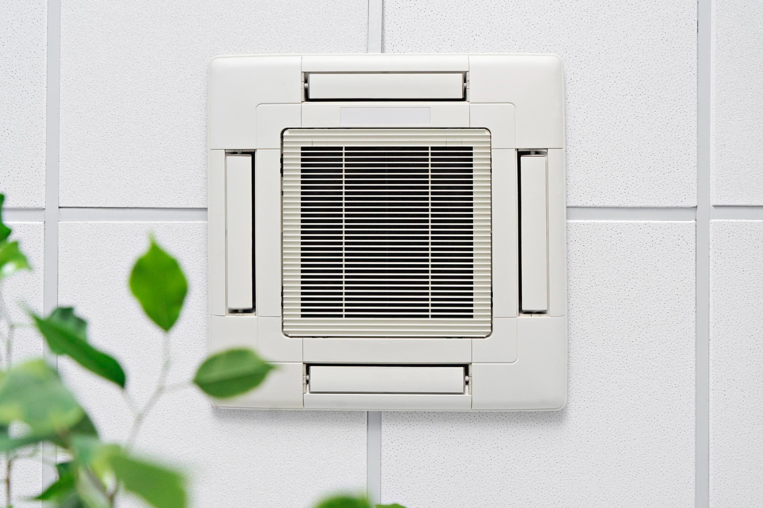 10 Benefits of Having Indoor Plants at Your Home - PlantMe