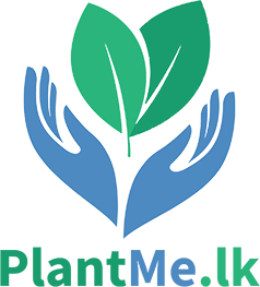 Blog - PlantMe